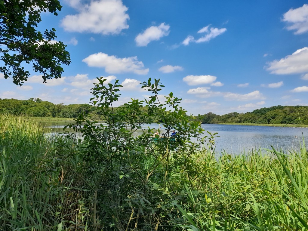 Filby Broad – Wendy Wordsmith